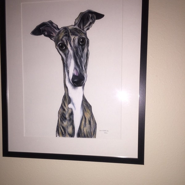 Pencil Drawing of a Whippet, Original Wall Art, Whippets, Pencil Sketch ...