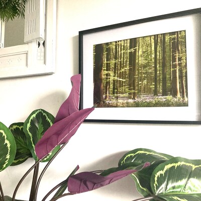 Postcards Autumn Leaves Fall Postcard Set Nature Photography Leaves ...