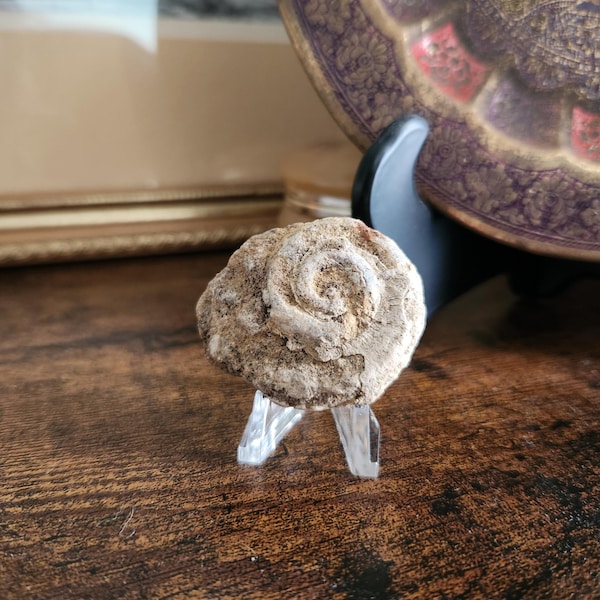 Calligraphy Jasper, Script Stone, Slab, Cabbing Rough, #R-6119 - Etsy