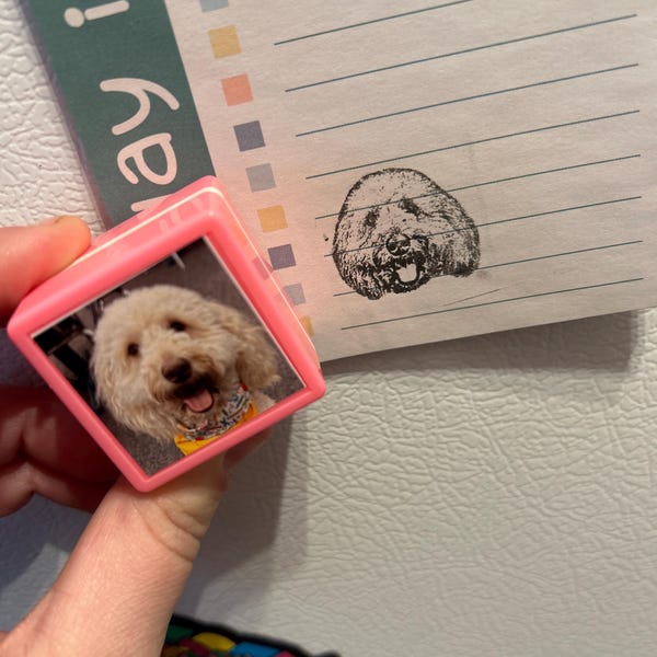 Custom Pet Portrait Stamp, Custom Cat Dog Bird Parrot Rabbit ...