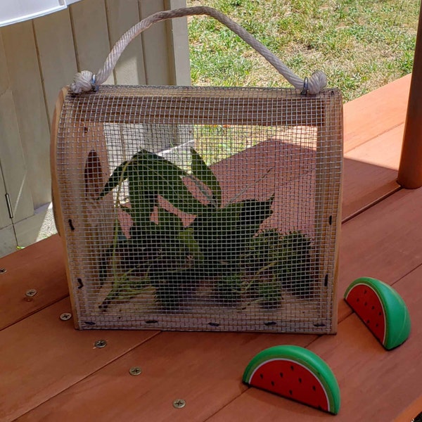 Wooden Bug and Critter Cage - Etsy