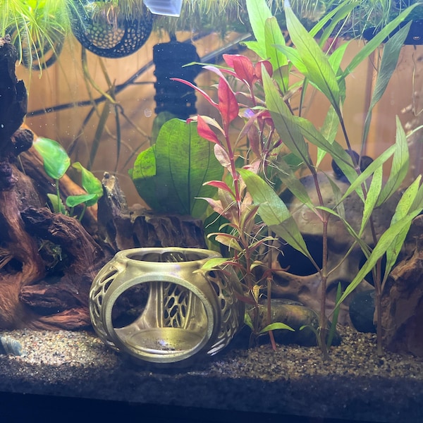 Betta Lair, Aquarium Swim Through Cave Decoration for Aquatic Pets ...