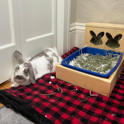 Rabbit Hay Feeder Litter Box & Mesh Grate Litter Pan Hay - Etsy