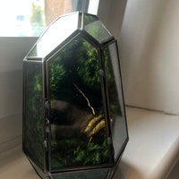 Geometric Terrarium Prism Desktop Mossarium Centrepiece Preserved Moss ...