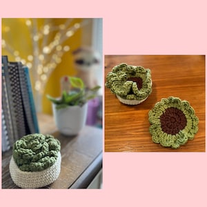 Rosette Succulent Coaster Set - Etsy
