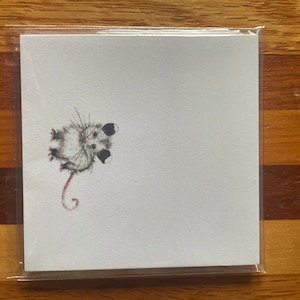 Greeting Card : LOVE Celebrate Graduation Party Opossum Possum Blank ...