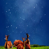 Hair Overlays, Curls Overlays, Wigs PNG, Digital Hair, Painted Hair, PNG Set, Wigs Photoshop PNG ...