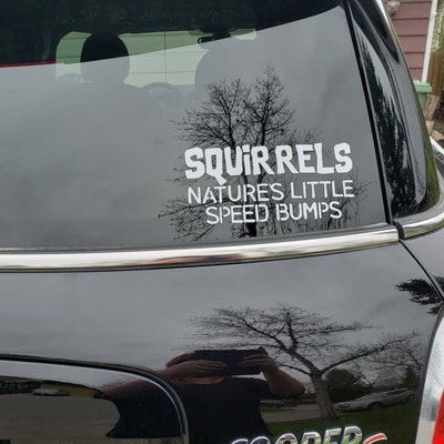 Bear Butt Custom Vinyl Decal/ Bumper Sticker for Windows - Etsy