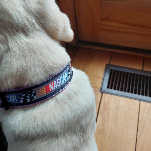 SEATTLE MARINERS Inspired Dog Collar/adjustable/one Inch Wide/mlb - Etsy