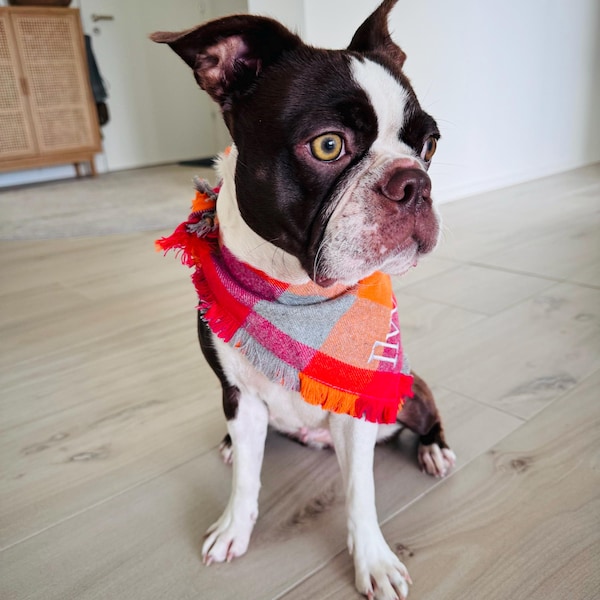 Halloween Dog Bandana Halloween Dog Gift Bat Dog Bandana Dog Scarf ...