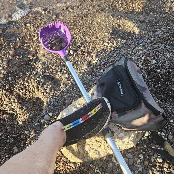 Shell Scoop, Rock Hunt Scoop, Shark Tooth Sifter, Sand Scoop, Rock ...