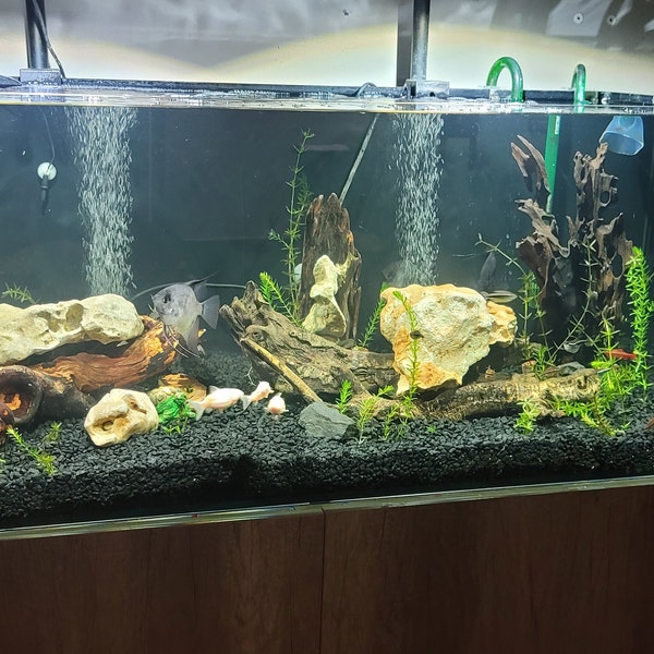 Aquascape: Limestone Cavernous Cave Rock, Driftwood Arrangement ...