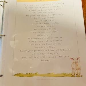 Human Body Systems, Print Copywork, Human Body Facts, Print Handwriting ...