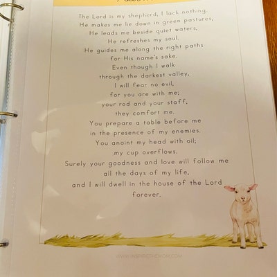 Human Body Systems, Print Copywork, Human Body Facts, Print Handwriting ...