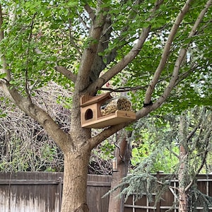Modern Curved Bird Nest Box - Etsy