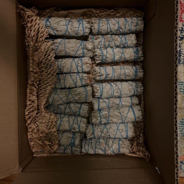 Abalone Shell Perfect for Smudge Sticks Alter Tool High Quality One ...