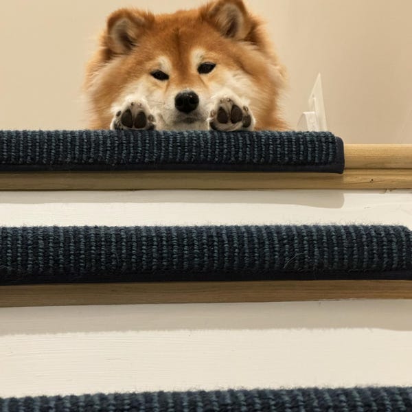 Posthugger™ 24 Pc 6x6 Hexagon Pergola Bracket Set for 6x6 5.5x5.5 Posts ...