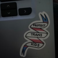 Protect Trans Kids Die Cut Vinyl Sticker, 100% of Profits Donated ...