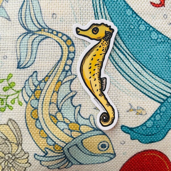 Magnet Set 7 Cephalopods, Flamboyant Cuttlefish, Pajama Squid, Nautilus ...