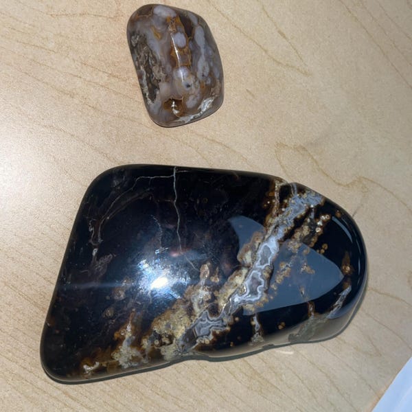 Agate Limb Cast With White Opal Waterline Petrified Wood Pseudomorph ...
