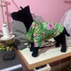 Custom Size Dog Mannequin Pattern – PDF Sewing Template for a Realistic ...