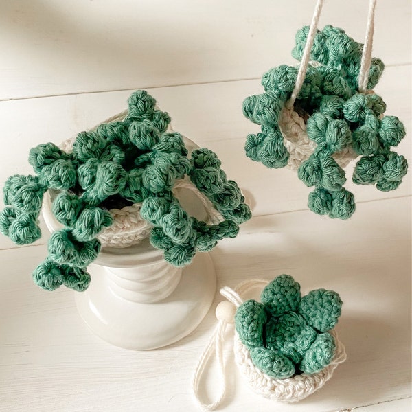 Mini Hanging Succulents Crochet Pattern - Etsy