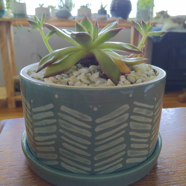 Customizable Handmade to Order Ceramic Planter - Etsy