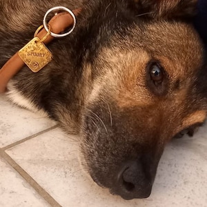 Dog Tag With Phone Number Handstamped - Etsy