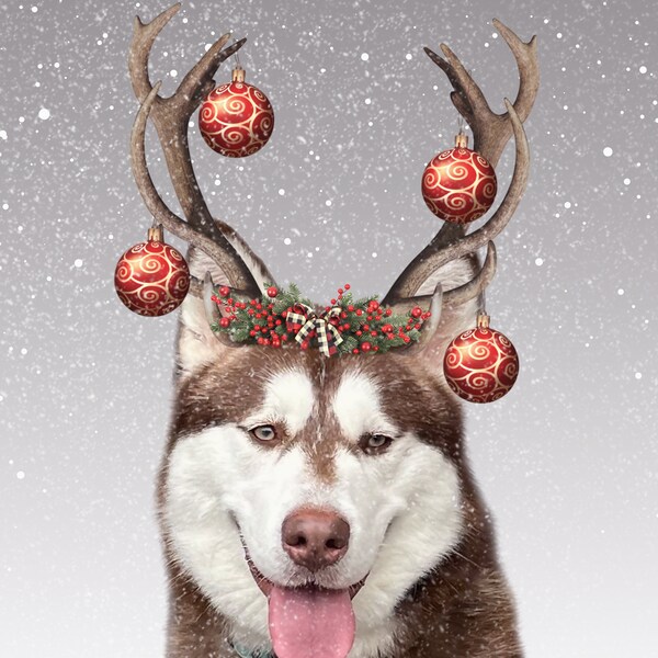 My Pet Reindeer, Pet Portrait From Photo, Digital Christmas Portrait ...
