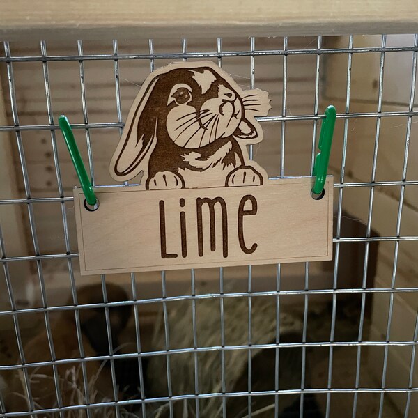 Bunny Rabbit Cage Tag, Personalized, Custom, Engraved Wood, Pet Rabbit ...