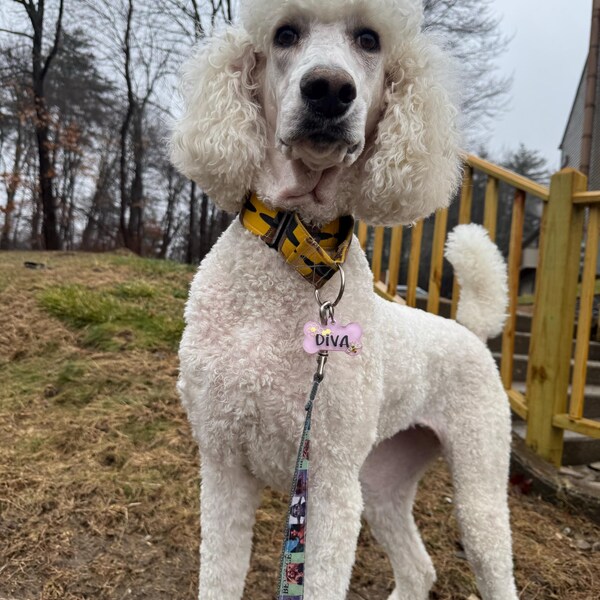 Honey Bee Dog Tag, Pet Name Tag, Dog Tag Custom, Honeycomb Pet ID ...