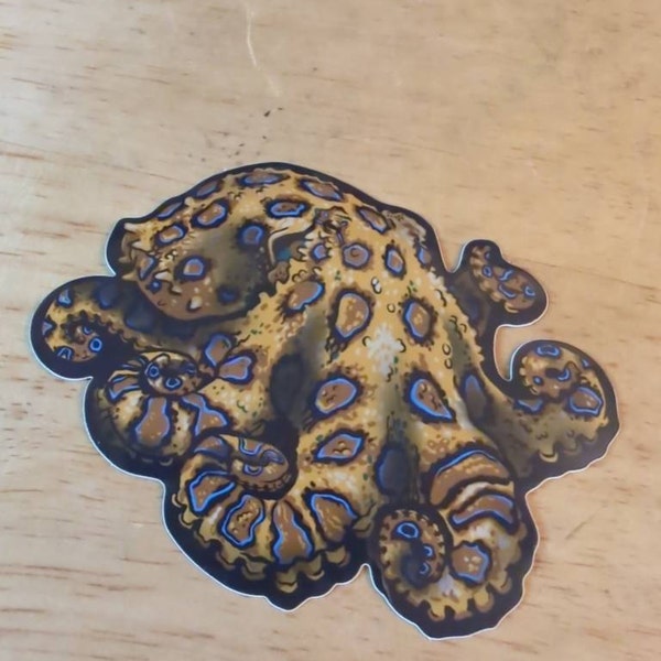 Garter Snake Sticker - Etsy