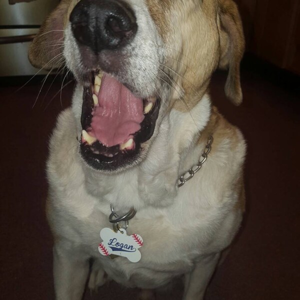 Baseball Dog Tag Double Sided - Customized Dog Tag - Custom Dog Tag ...