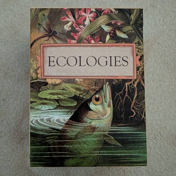 Ecologies Card Game - Gameplay Inspired by Nature - Use Science to ...
