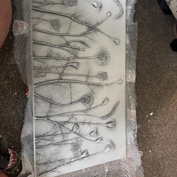 Giant Plaster Tulip Bas Relief Wall Art 15”x 30 1/2” - Etsy