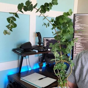 Wooden Garden Ruler for Seed Planting With Seed Diddler Plus Garden ...