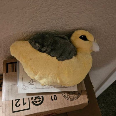 Turtle Duck Realistic Plush Hand-sewn - Etsy