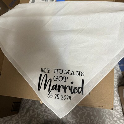 Ball-less & Flawless Dog Bandana, Funny Dog Bandana, Neuter Bandana ...