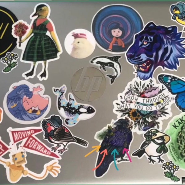 Vinyl Bird Stickers - 7 Designs to Choose From - Hawk Falcon Owl Raven ...