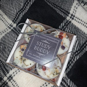 Study Buddy Candles Focus & Concentration Candle Soy - Etsy UK