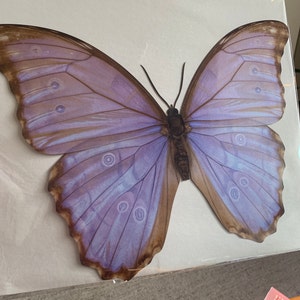 Realistic Paper Butterflies, Double-sided, Butterfly Paper-cut Craft ...