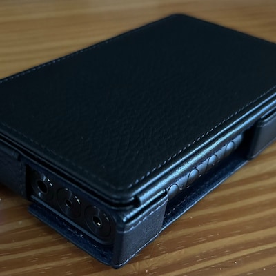 Sony Walkman NW-WM1A / WM1Z Leather Case - Etsy