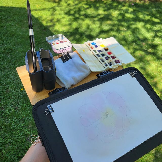 TaylorSeamountShop - Etsy