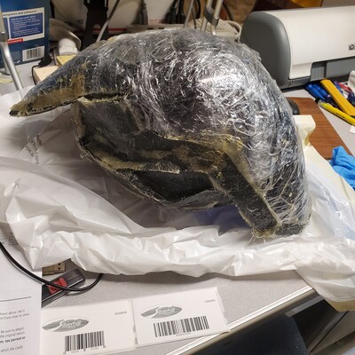 Cosplay Lighting With Leds: A Beginners Guide Ebook - Etsy