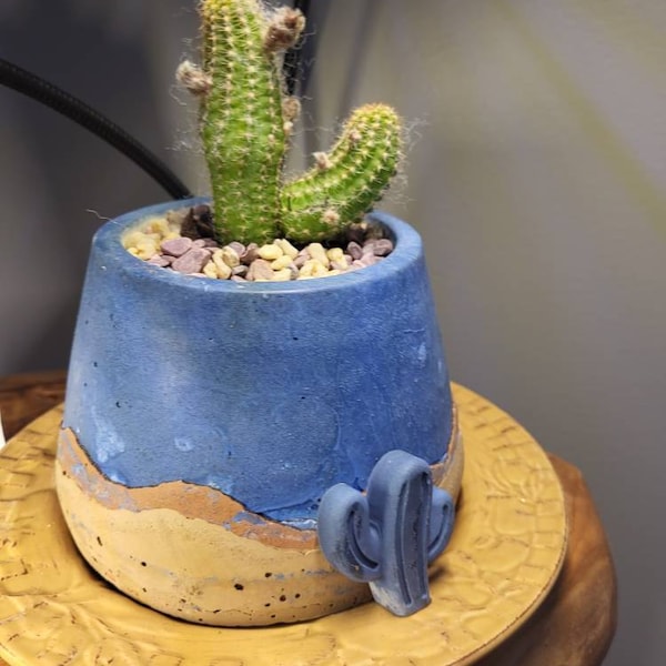 Blue Ridge Planter | Desert Pot | Handmade | Pottery | Boho | Concrete ...