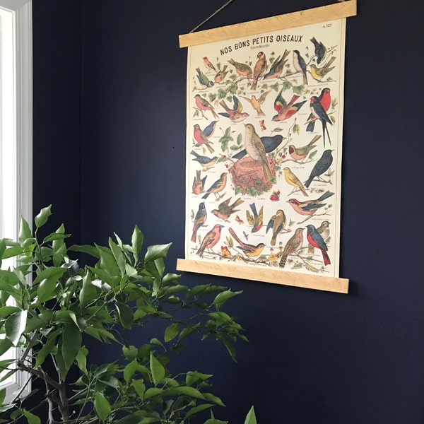 Bird Poster | Bird Art | Bird Print | Bird Wall Art | Birding | Bird ...