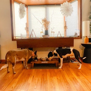 Tall Bowl Stand Elevated Dog Bowl Feeder Raised Dog Feeder Dog Lick Mat ...