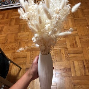 Bunny Tails White Lagurus 15g Dried Flower White Floral Arrangement ...