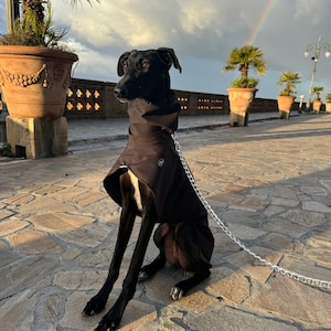 Muzzle for Irish Wolfhound Lightweight Steel Wire Muzzle Coursing ...