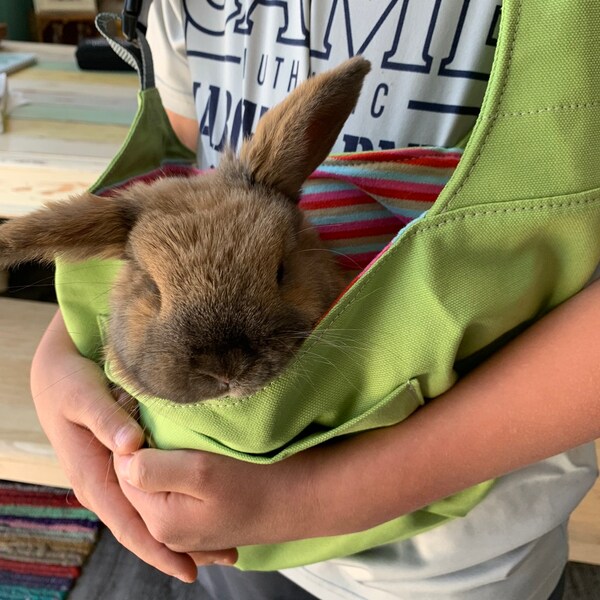 Luxury Small Pet Sling With Plush Faux Fur, Bunny Sling, Pet Travel ...